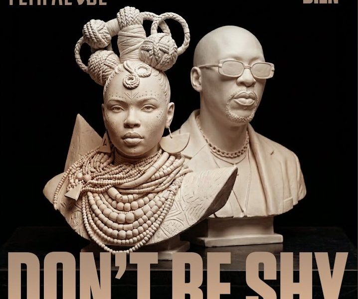 Yemi Alade - Don't Be Shy Ft. Bien (Download Mp3)